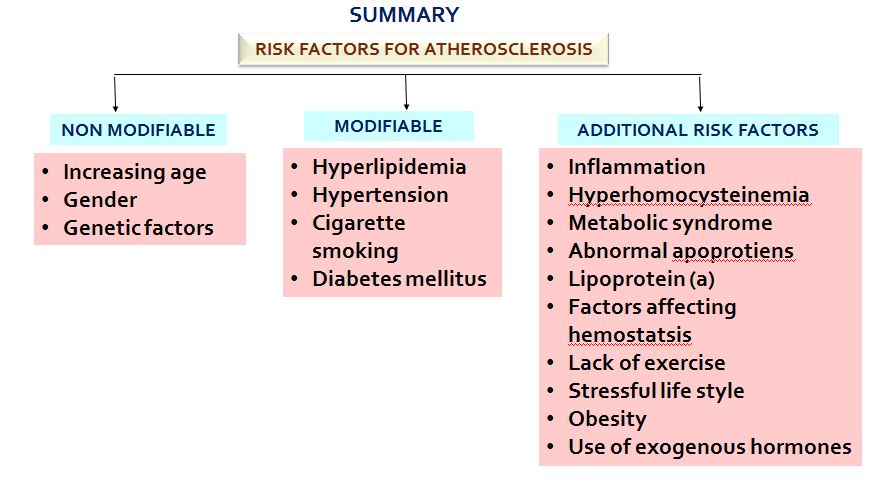 Atherosclerosis – risk factors and complications – Histopathology.guru Atherosclerosis – risk factors and complications – Histopathology.guru