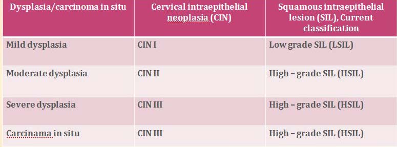 Cervical intraepithelial neoplasia – Histopathology.guru