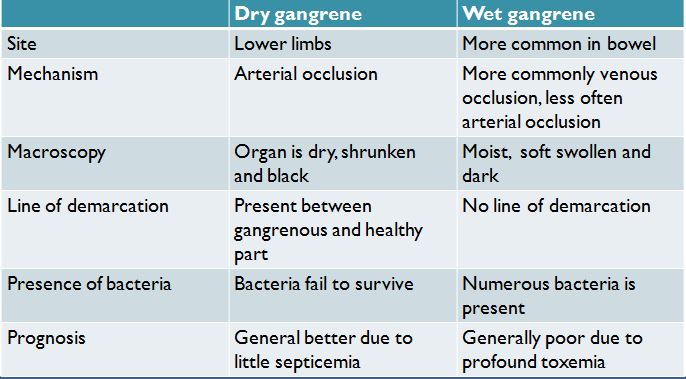 GANGRENOUS NECROSIS – Histopathology.guru